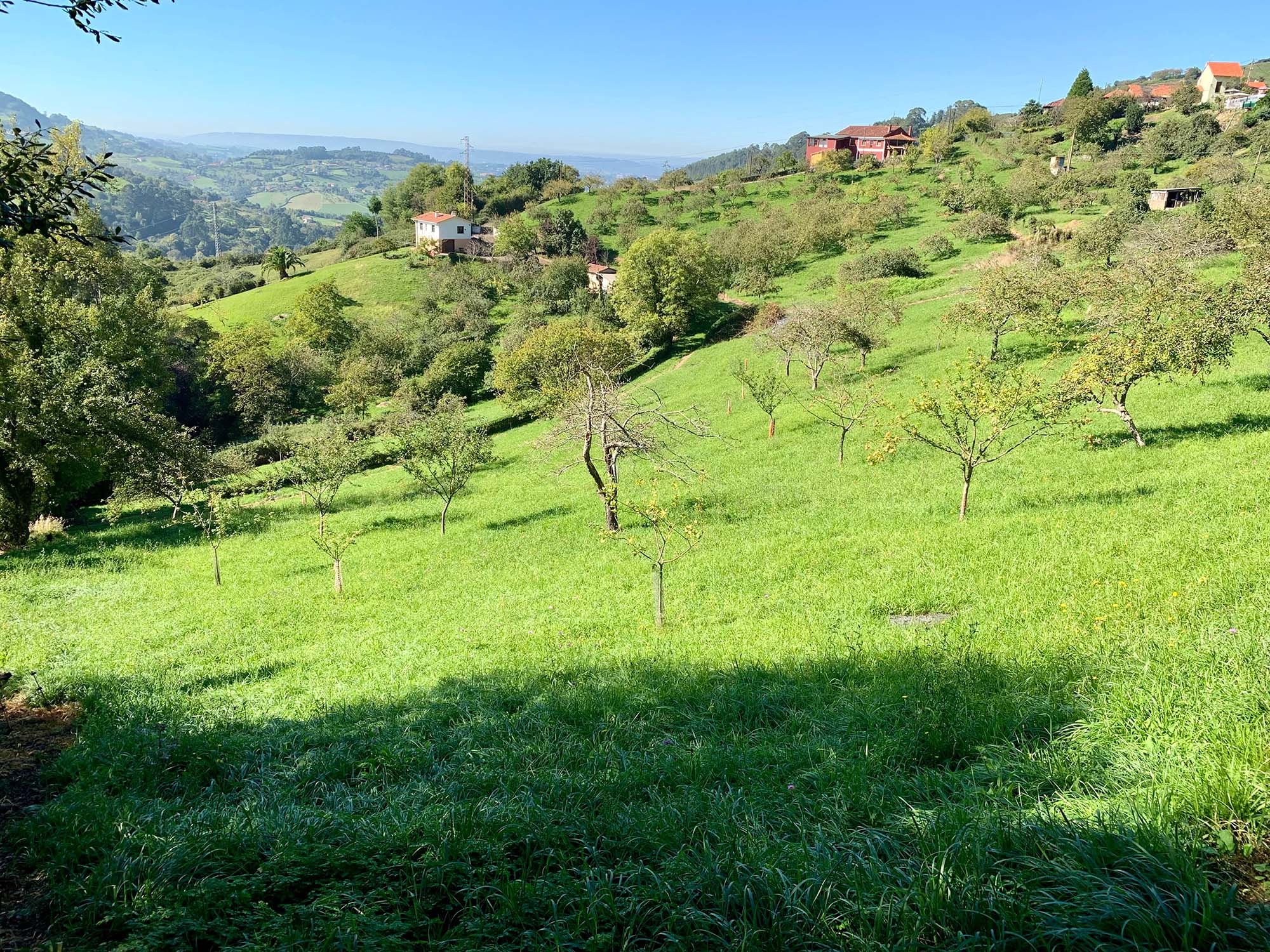 Finca en zona rural de Gijón - Fincas, Terrenos y Casas Rústicas en Venta