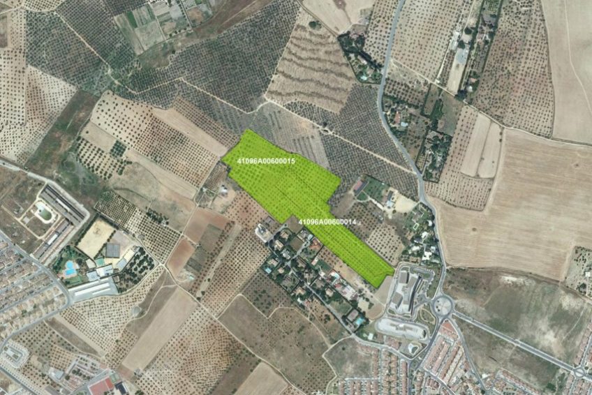 Finca Rústica en Valencina de la Concepción - Fincas, Terrenos y Casas ...