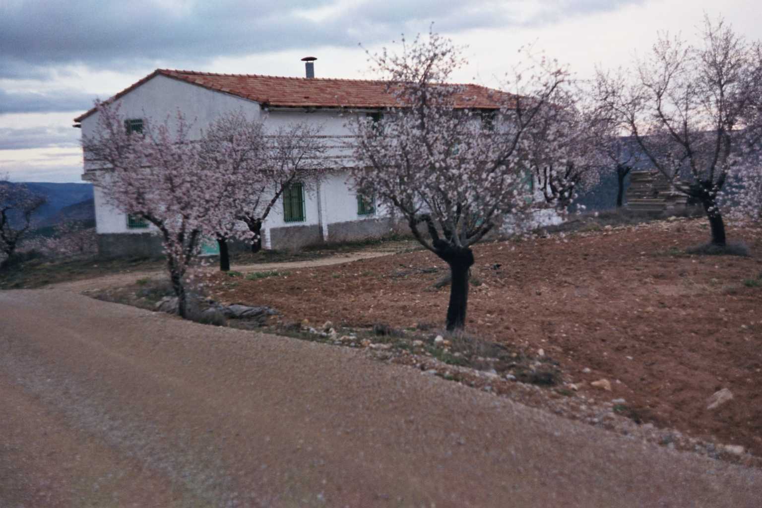 ADEMUZ, FINCA AGRICOLA DE 16 HECTÁREAS CON CASA 2 PLANTAS - Fincas ...