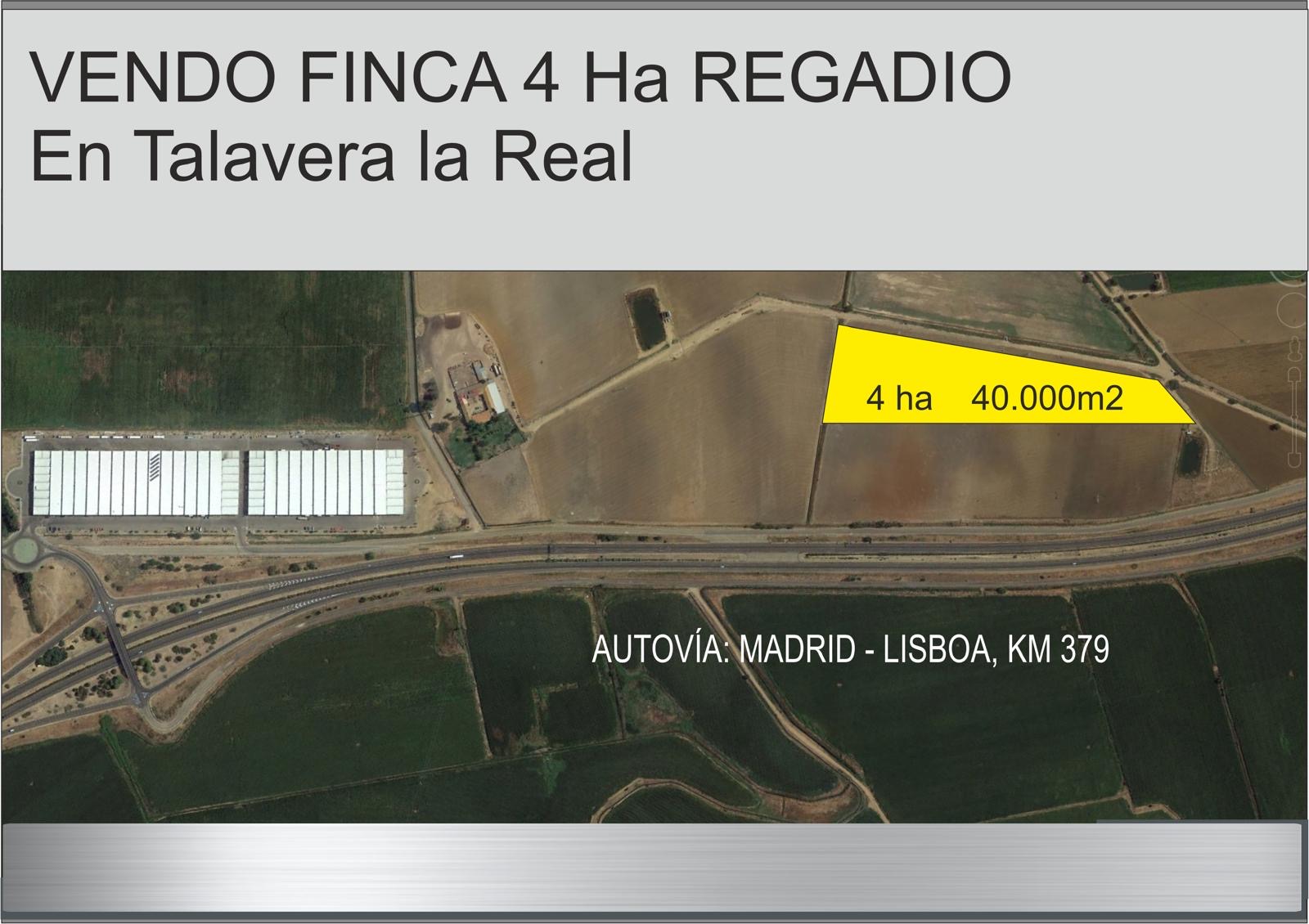 Finca de Regadío de 4 Ha: ¡Excelencia Agrícola y Gran Potencial ...